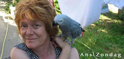 Artistas - Galería de Arte GranadaCapital